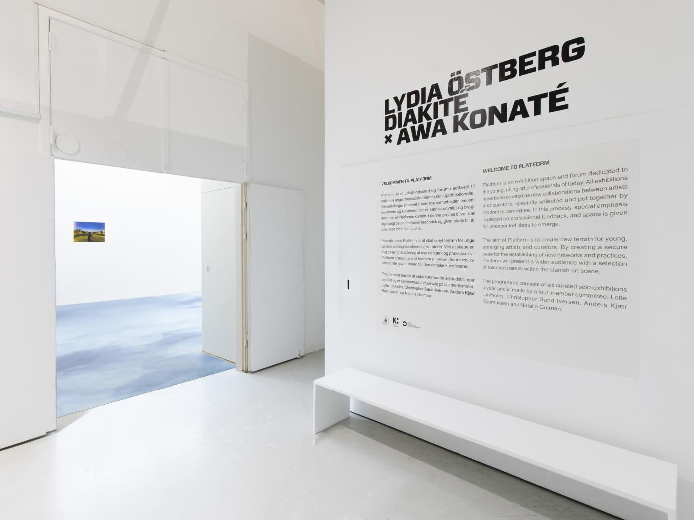 Platform - Lydia Östberg Diakité x Awa Konaté | Nikolaj Kunsthal